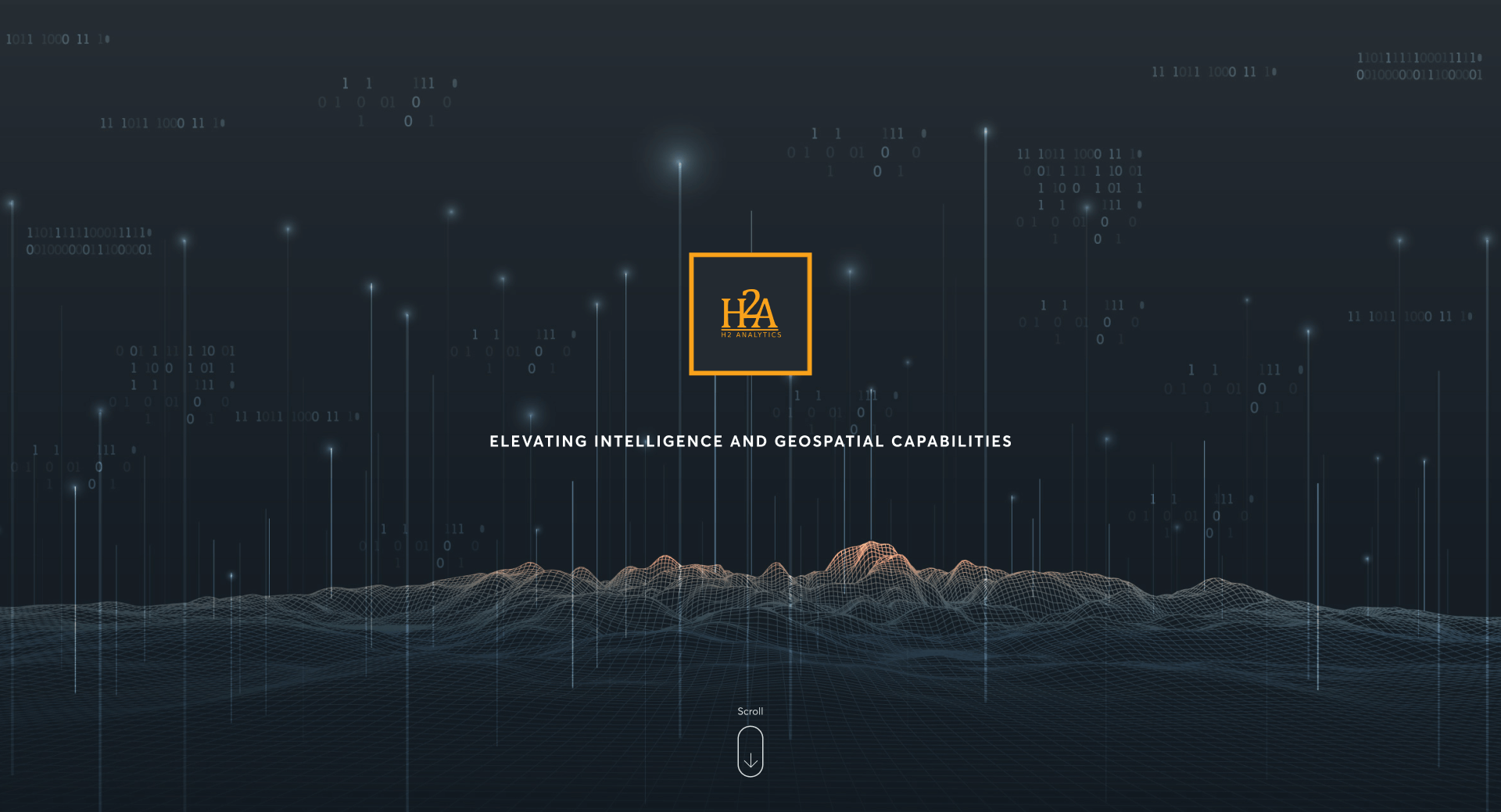 Senior Software Developer - H2 Analytics - Intelligence Training and ...